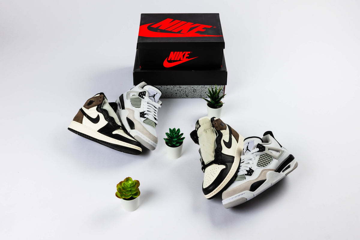 Collections – Common Hype